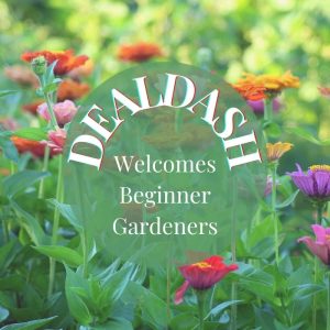 DealDash Welcomes Beginner Gardeners - DealDash Reviews