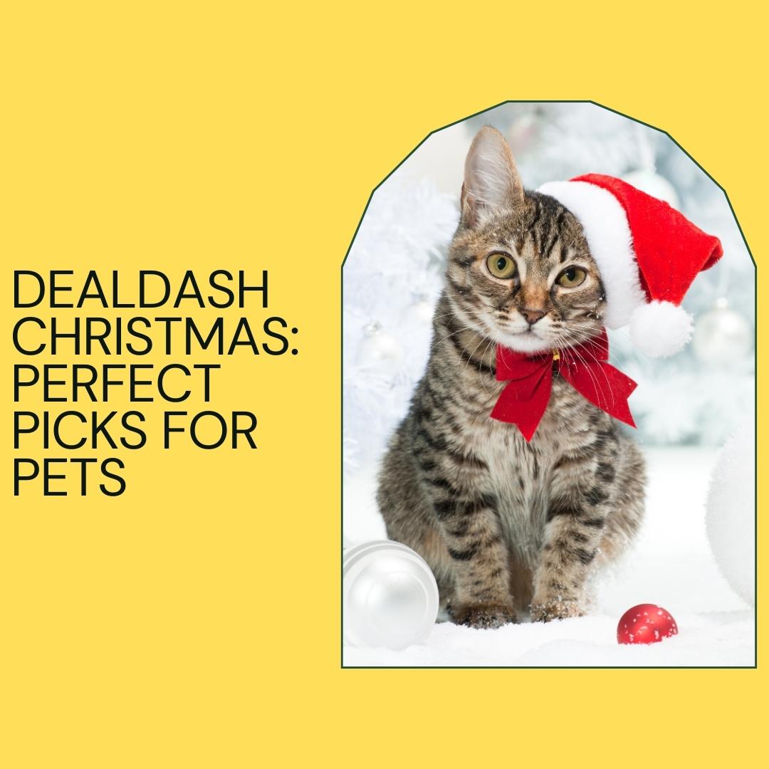 DealDash Reviews - Dealdash.com Customer Reviews & Auction Advice