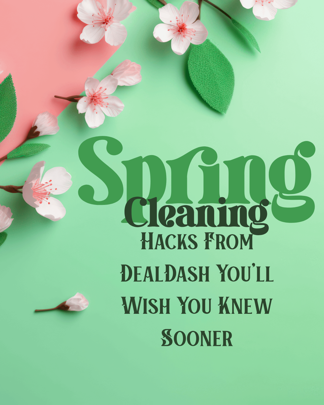 Spring Cleaning Hacks From DealDash You’ll Wish You Knew Sooner ...